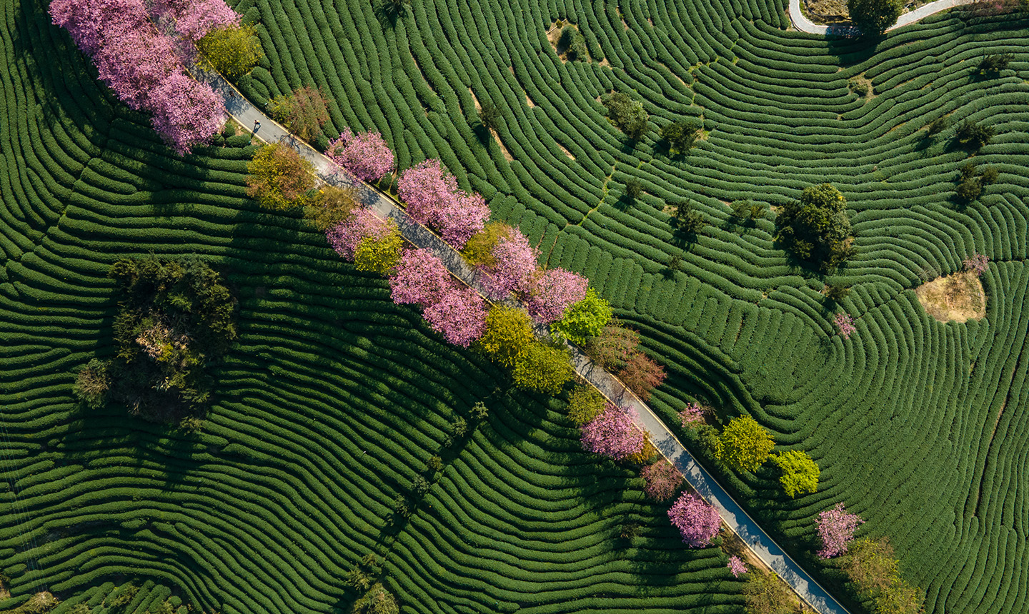 A Beautiful Collaboration | Client Stories | Mayer Brown