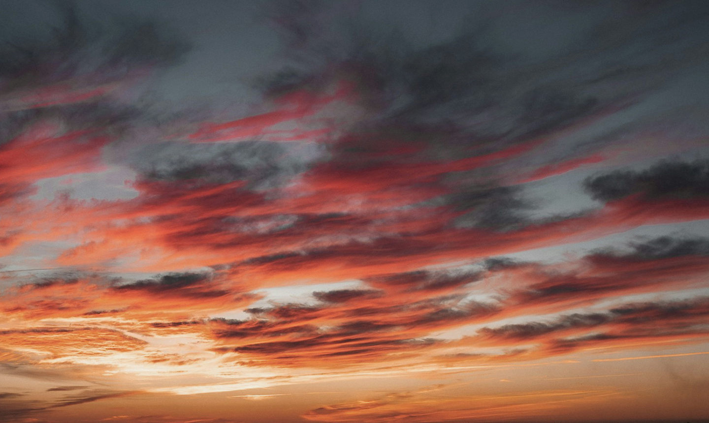 Dawn Raids | Mayer Brown