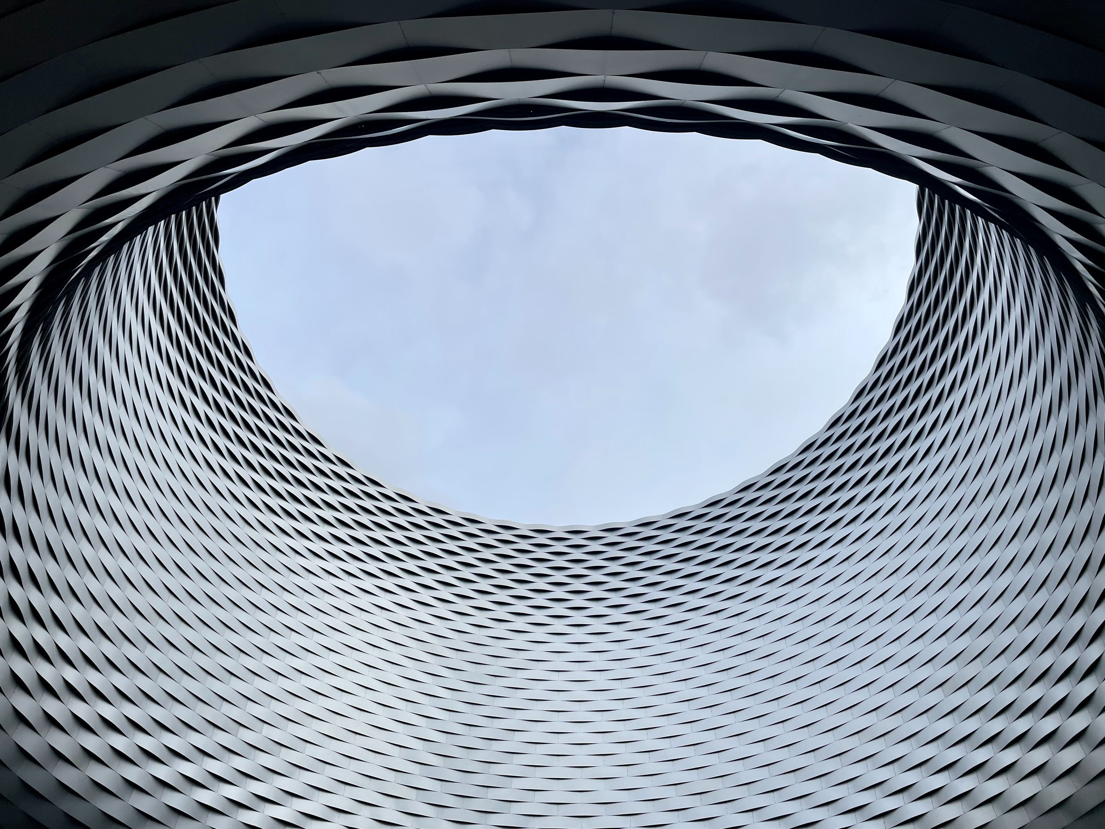 The Next Organization | Mayer Brown