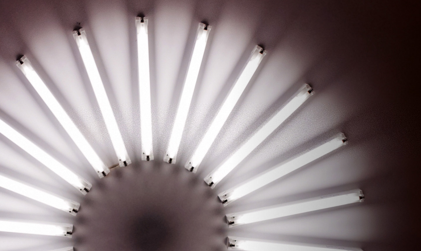 New Risk Mindset Series | Mayer Brown