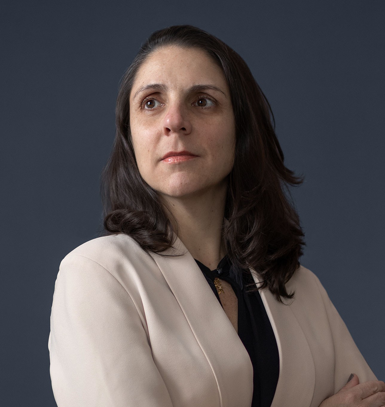 DECRETO MUNICIPAL Nº 63.130/2024 – Regulamentação da venda e locação de ...