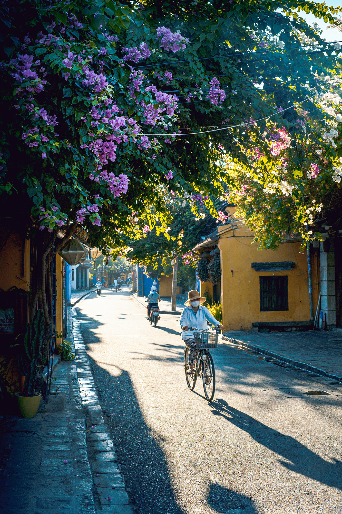 Asia Tax Bulletin - Spring 2024 | Insights | Mayer Brown
