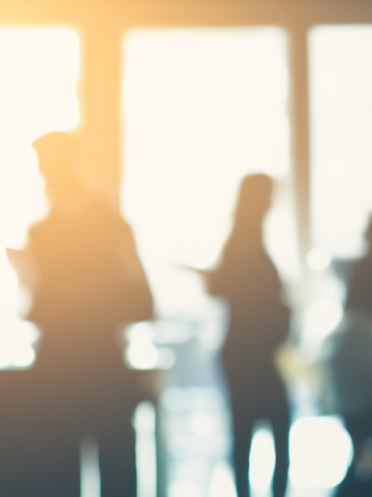 NAIC National Meeting Highlights | Insights | Mayer Brown NAIC National Meeting Highlights | Insights | Mayer Brown