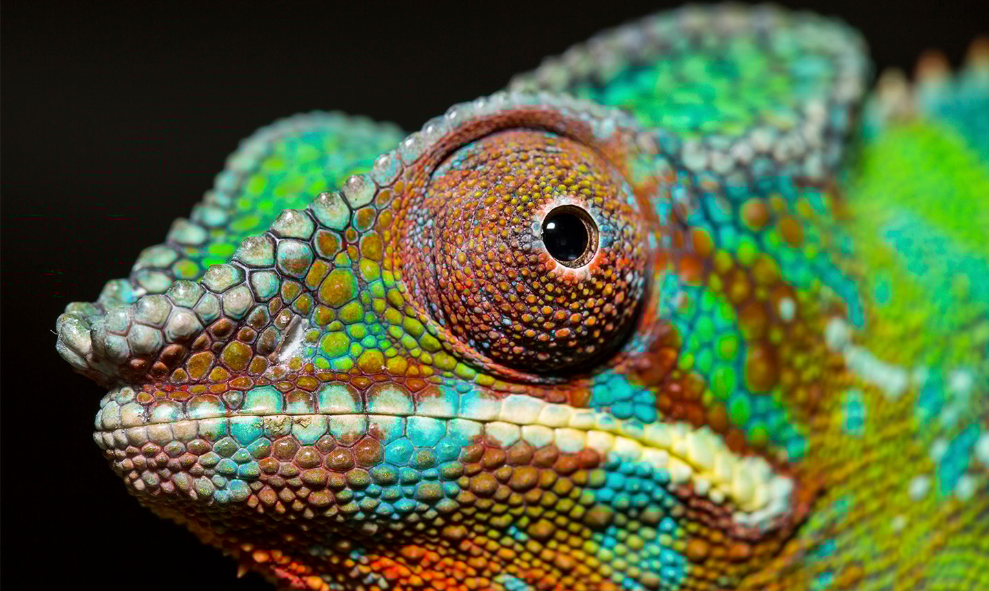 Capital Markets | Services | Mayer Brown