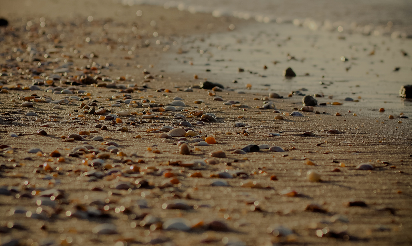 Committee on Foreign Investment in the United States (CFIUS) | Services ...