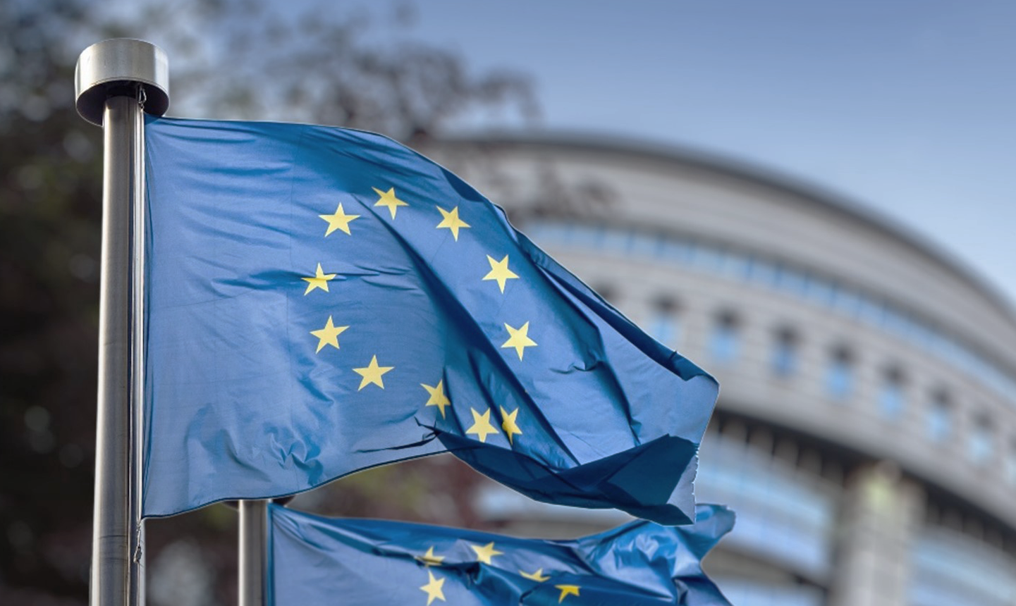 EU Deforestation Regulation (EUDR) | Services | Mayer Brown