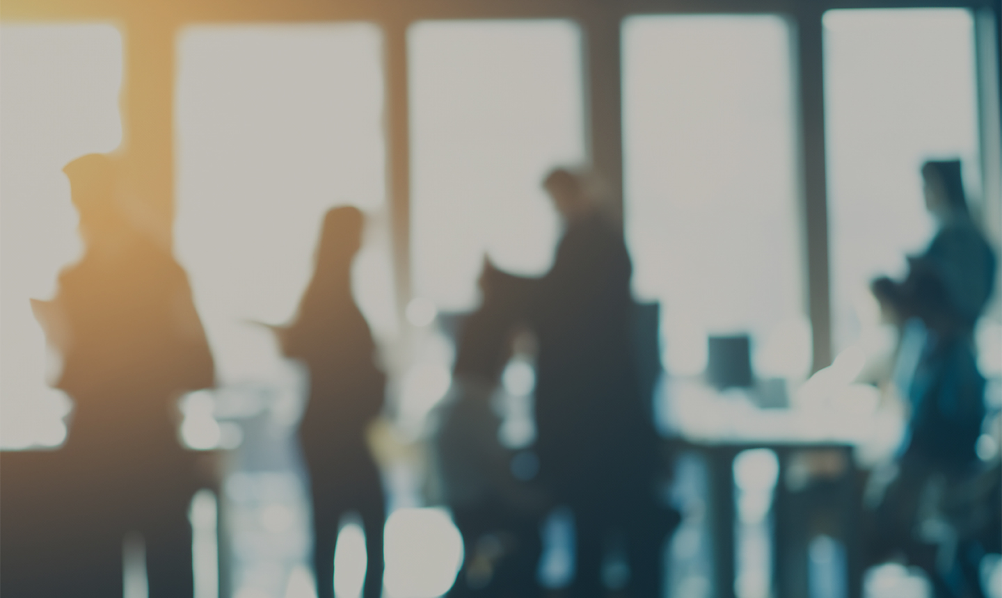 ITC 337调查 | 服务 | Mayer Brown