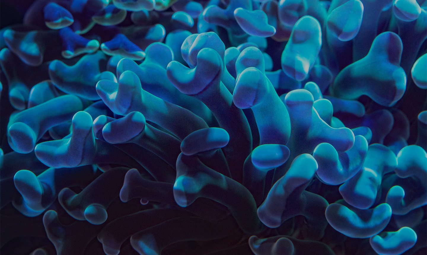 Technology & IP Transactions | Services | Mayer Brown