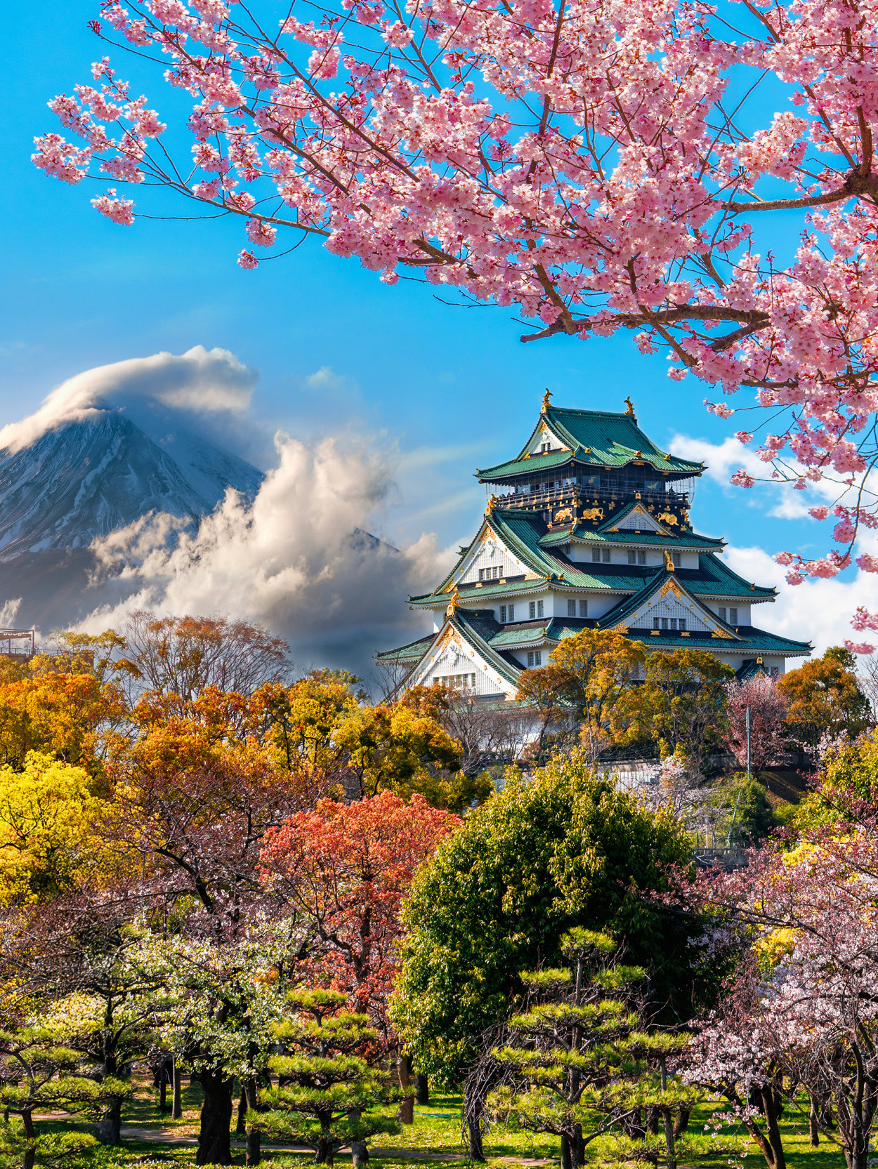 Asia Tax Bulletin - Spring 2025 | Insights | Mayer Brown