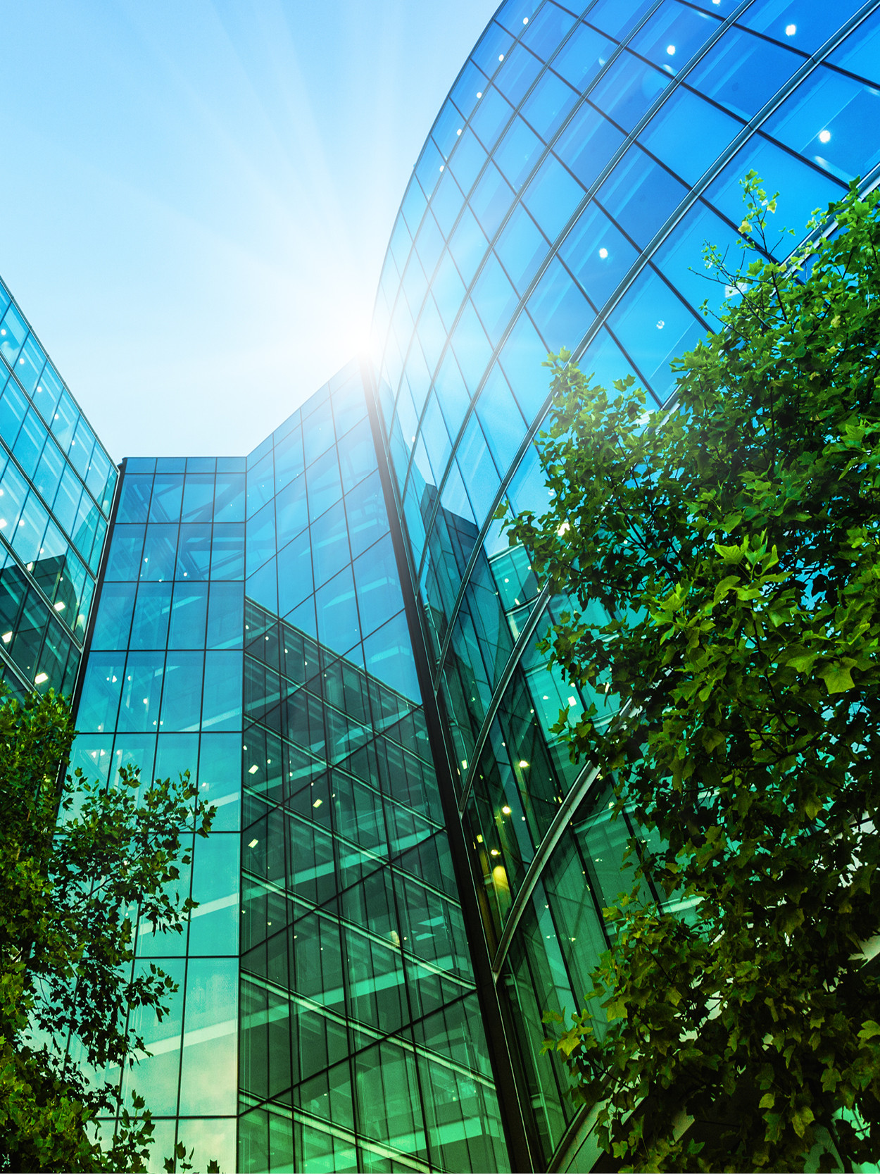 US NAIC Summer 2025 National Meeting Highlights | Insights | Mayer Brown