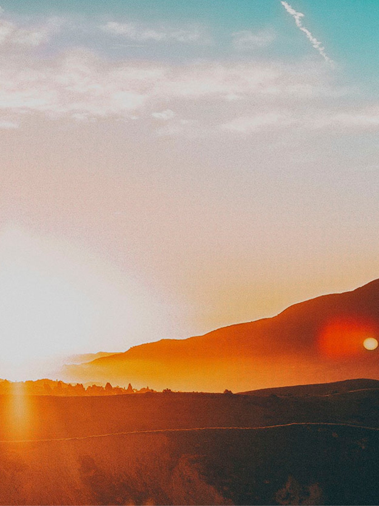 ITC 337调查 | 服务 | Mayer Brown