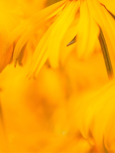 BIS Issues First ICTS Ban, Prohibiting Sales and Updates to Kaspersky ...