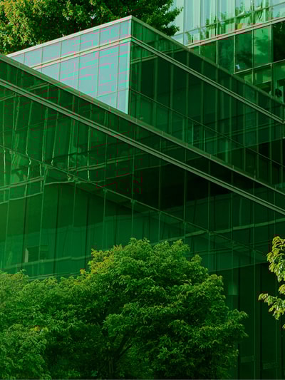 Singapores Carbon Regulations Paving The Way For The Green Plan 2030