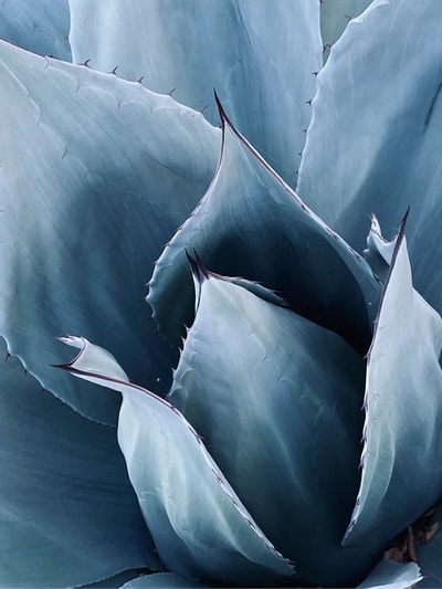 Mayer Brown conseille Argos Wityu dans le cadre de sa prise de ...